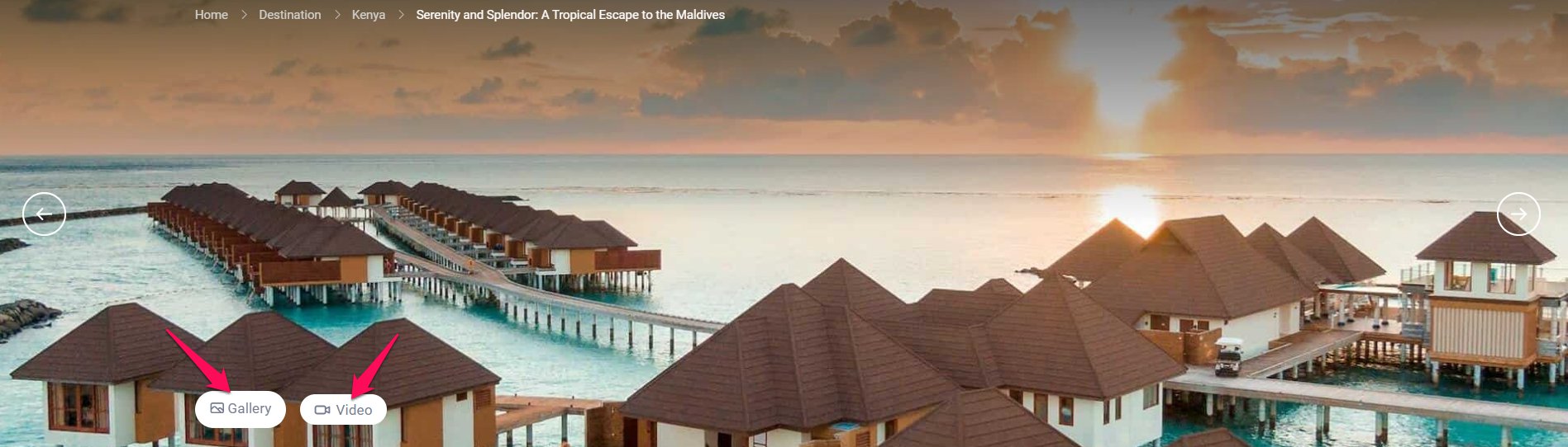 How to add Trip Gallery? - WP Travel Engine Documentation